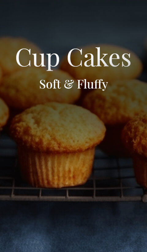Buy Dawn Cupcakes | Dawn Cupcakes Price in Pakistan | Dawn Bread